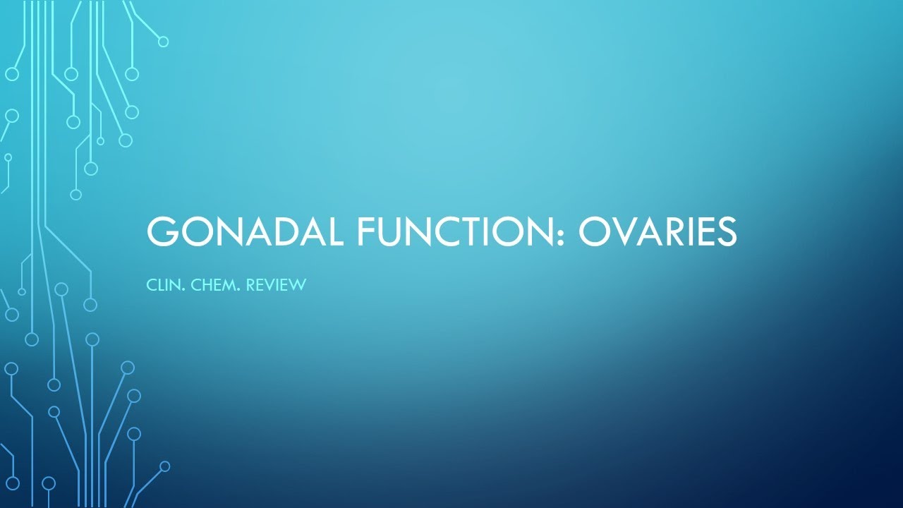 Endocrine: Gonadal Function: Ovaries - YouTube