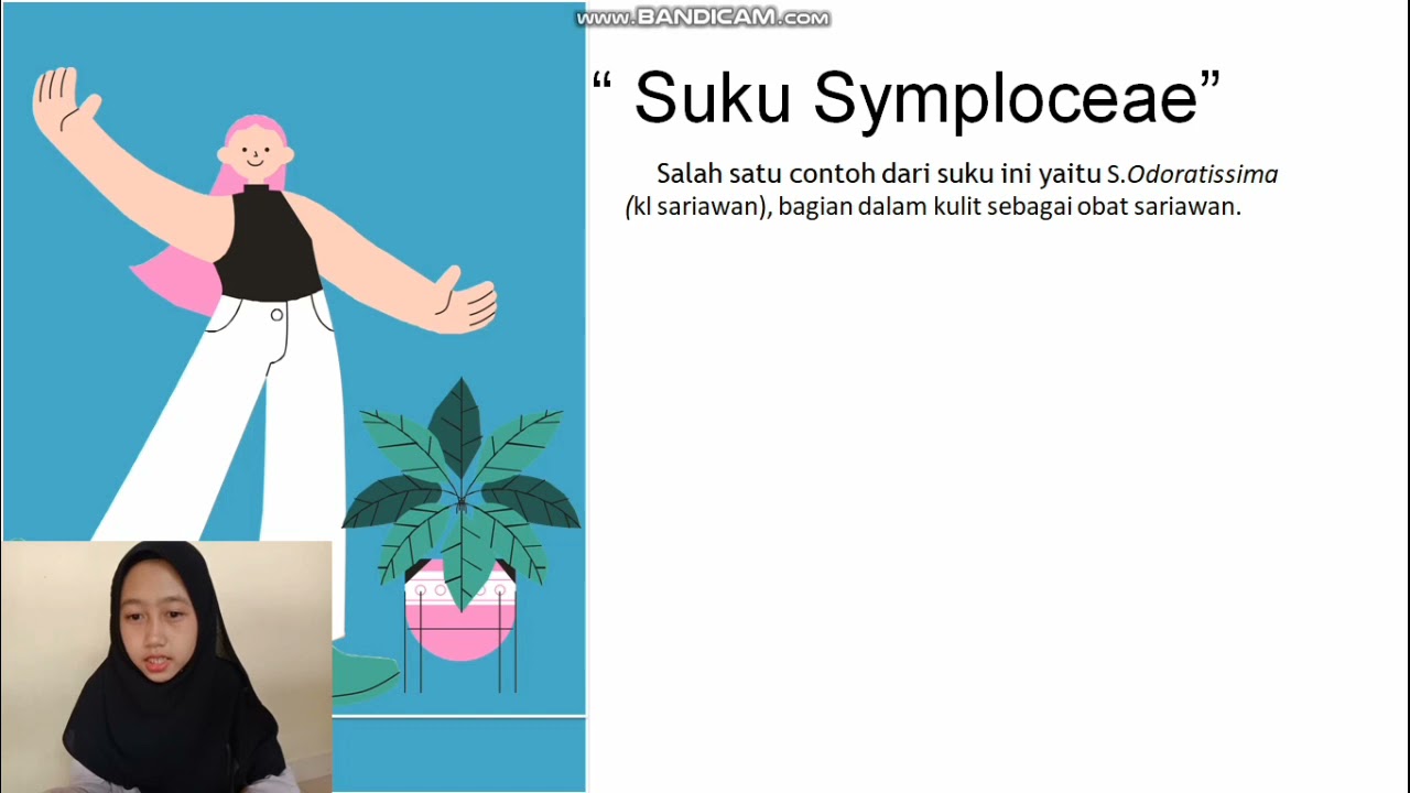 SYMPETALAE - YouTube