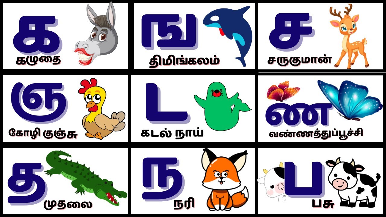 👌 uyir mei eluthukkal 🤟| Tamil alphabets | உயிர் மெய் எழுத்துக்கள் ...