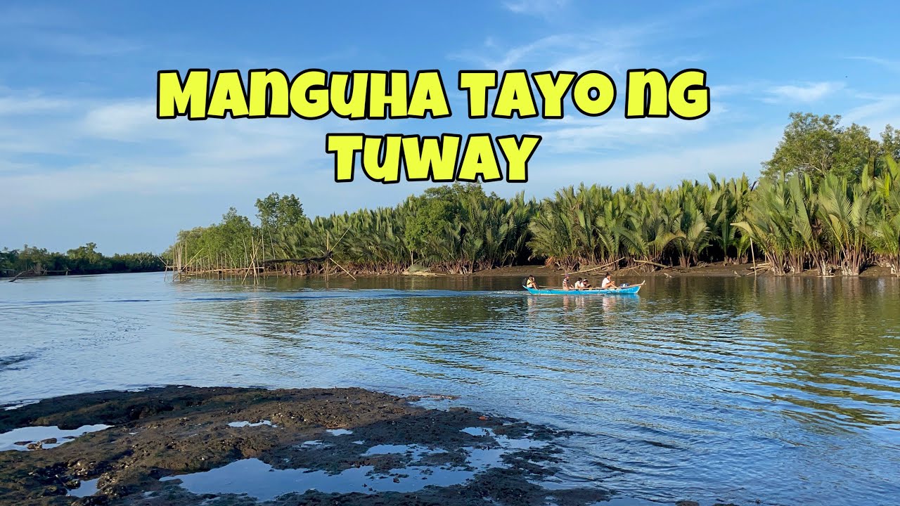 Manguha tayo ng Tuway 😁 - YouTube