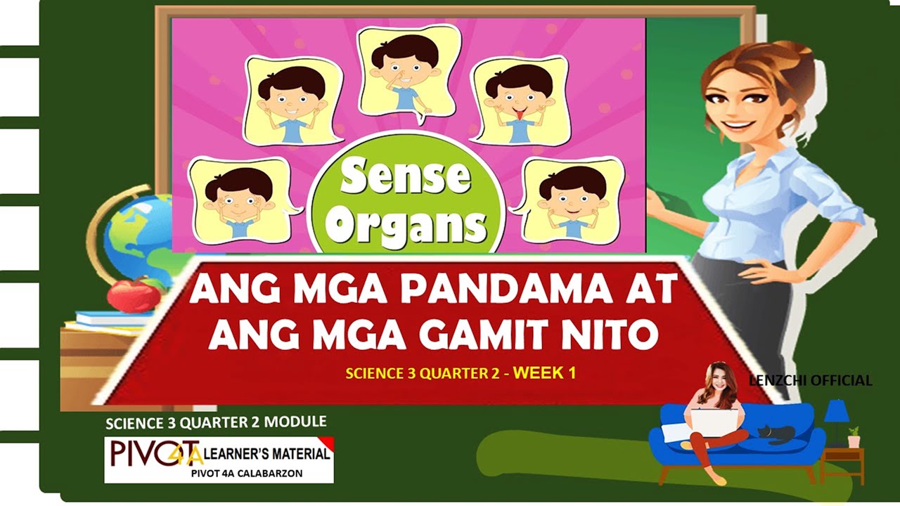 SCIENCE 3 | ANG MGA PANDAMA AT ANG MGA GAMIT NITO | QUARTER 2 -WEEK 1 ...