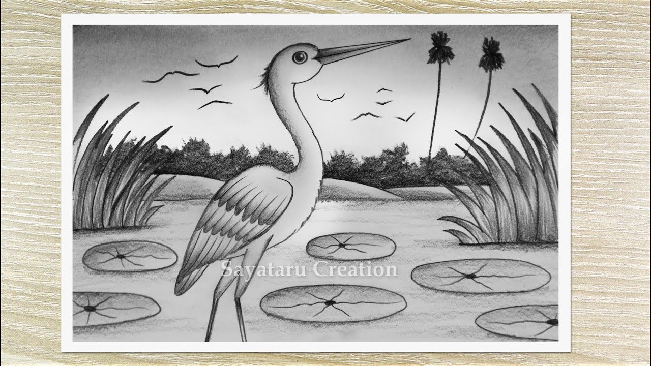 How to Draw a Birds Scenery with Pencil, Easy Pencil Drawing for ...