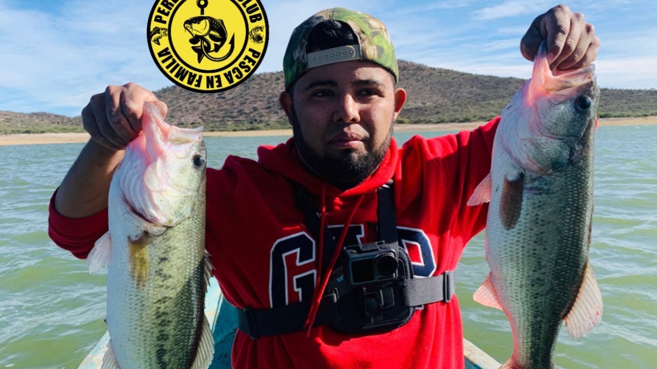 fish on monstruos de rio - YouTube