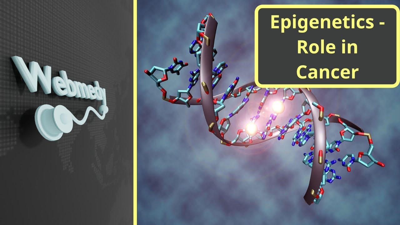 Epigenetics and its Role in Cancer Development and Treatment - YouTube