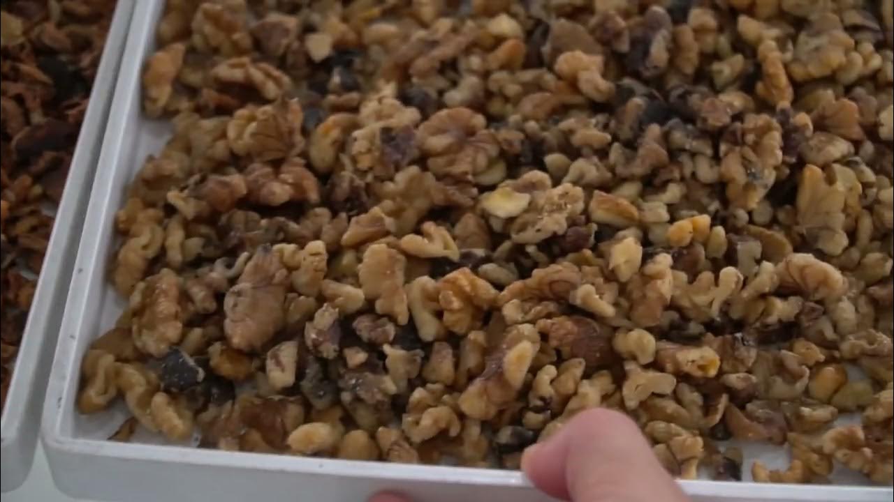 AMD walnuts kernel shell separating with NI1 InGaAs Sorting Machine - YouTube