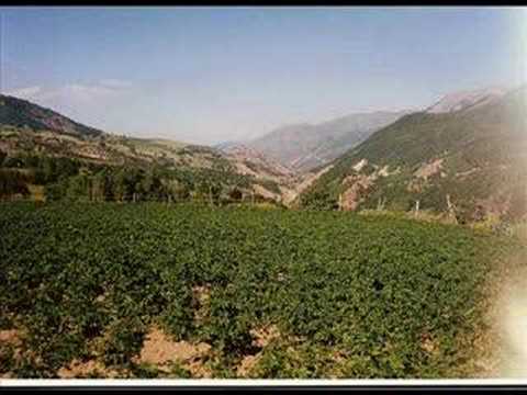 SİVAS SUŞEHRİ ŞARKÖYÜ