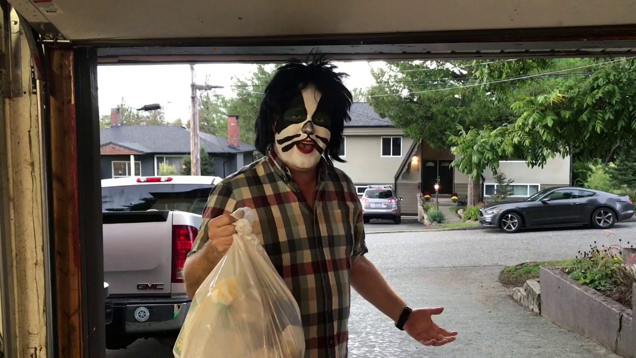 A Day With the Catman - YouTube