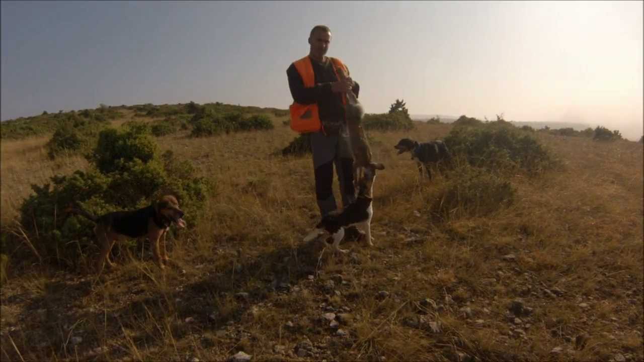 02 11 2013 ΚΥΝΗΓΙ ΛΑΓΟΥ 3 ΛΑΓΟΙ - YouTube