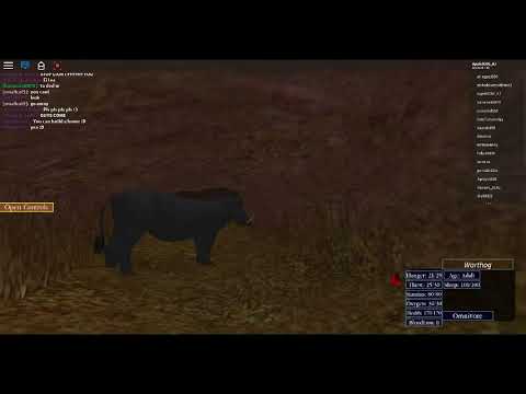 Making a Boars Den Roblox - YouTube