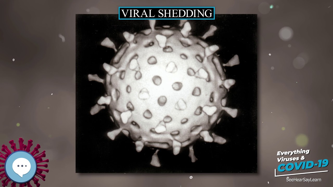 Viral shedding 🧫👩🏾‍⚕️🤒 Everything Viruses & COVID-19 🤒👩‍⚕️🧫 - YouTube