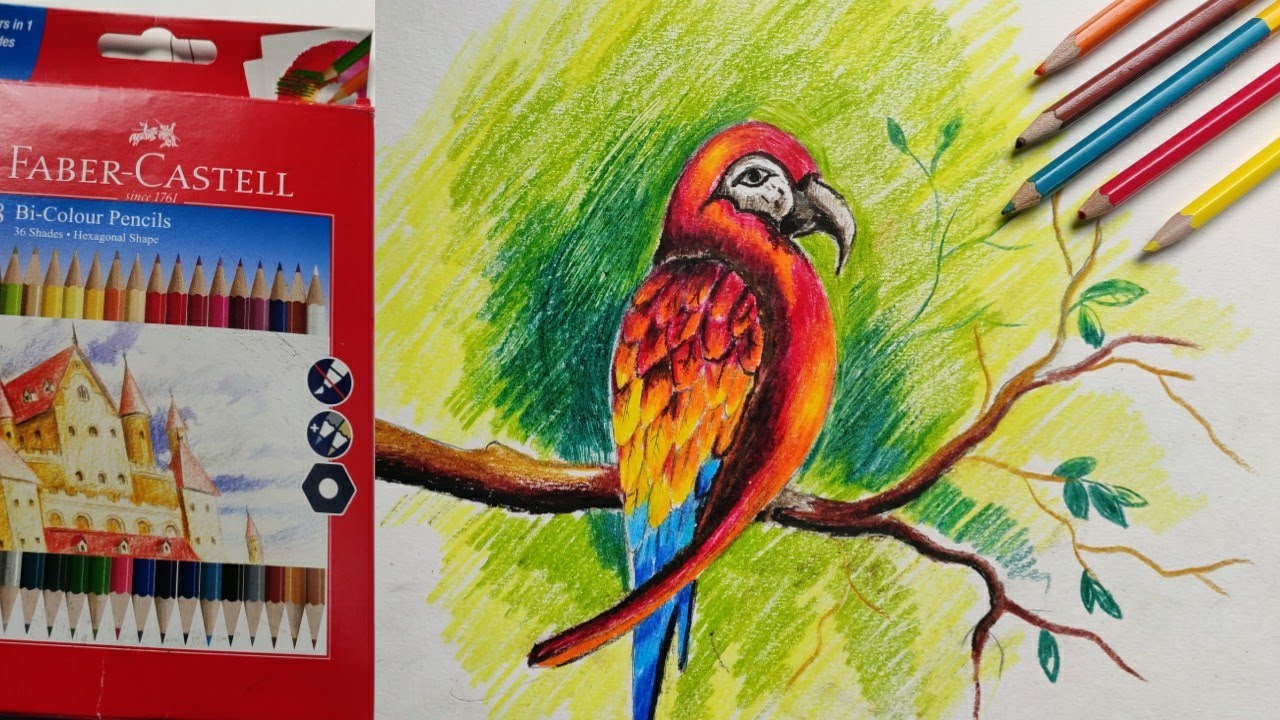 Easy Bird Drawing Using Color Pencil | Bird Drawing Tutorial Step By ...
