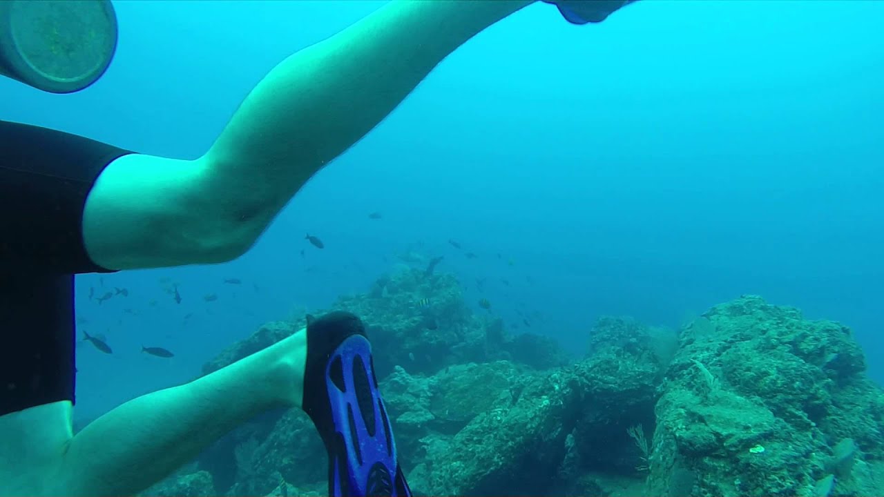 First Dive (Part 2) - YouTube