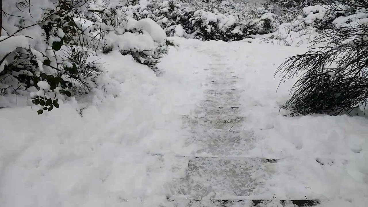 Snow day Jan 2019 - YouTube