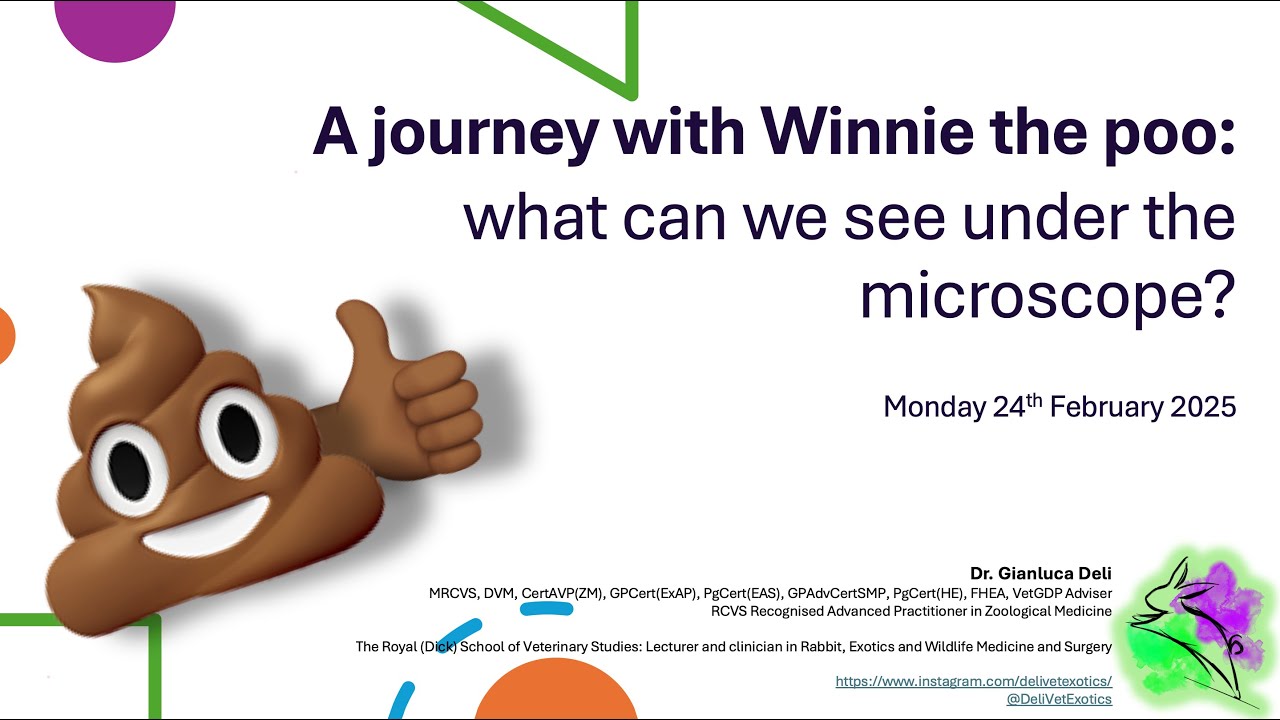 A journey with Winnie the poo: what can we see under the microscope ...