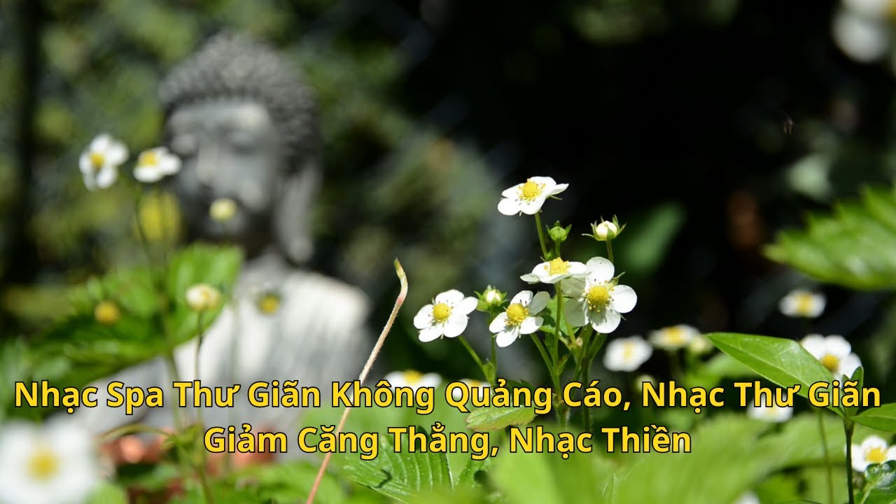 Nhạc Spa Thư Giãn Không Quảng Cáo, Nhạc Thư Giãn Giảm Căng Thẳng, Nhạc ...