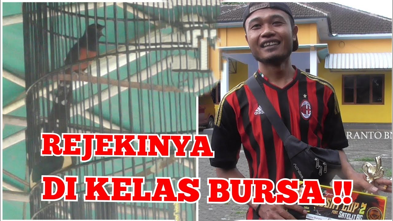 PANGERAN ALIT EDI JAYA SF ‼️ Rajin Bongkar, Kenarinya Panjang ‼️ - YouTube