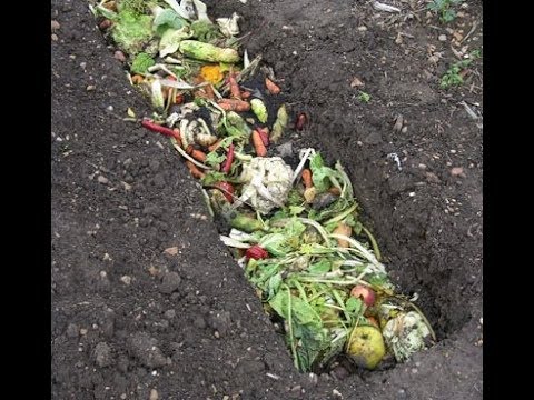 Fastest & Easiest way of Organic Composting !! Organic Compost at home ...
