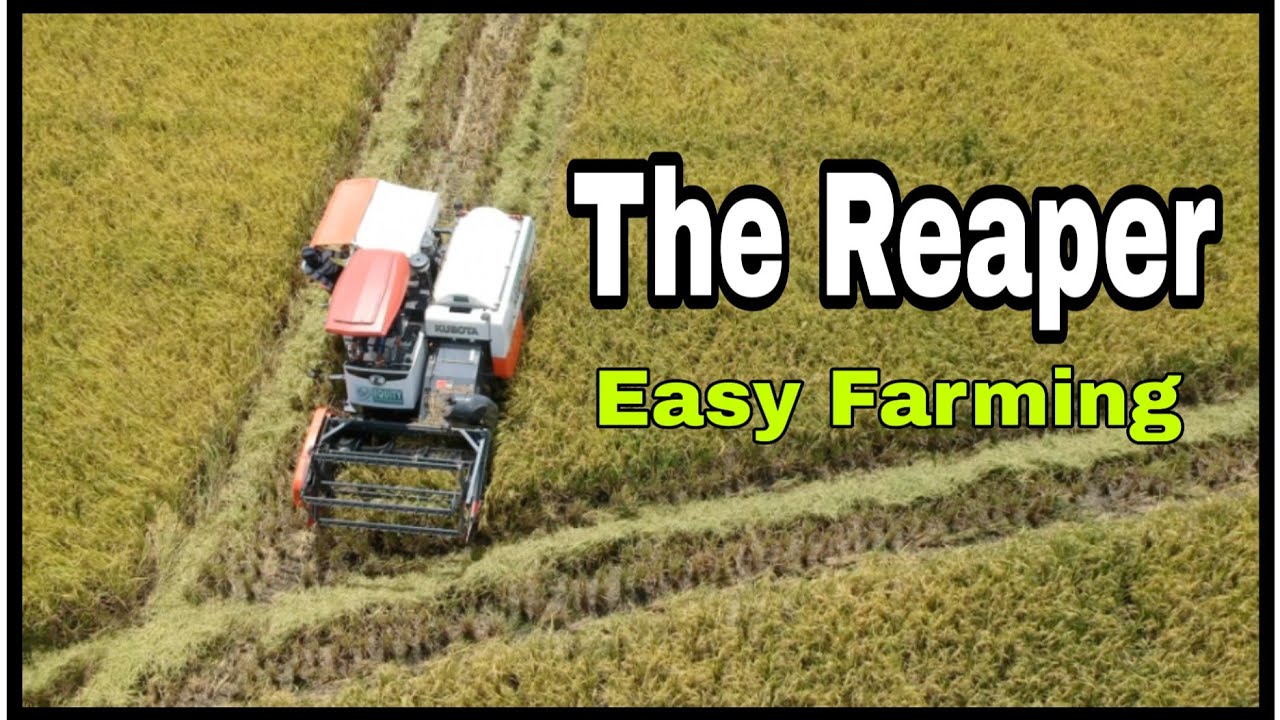 REAPER - ADVANCED FARMING SYSTEM - YouTube