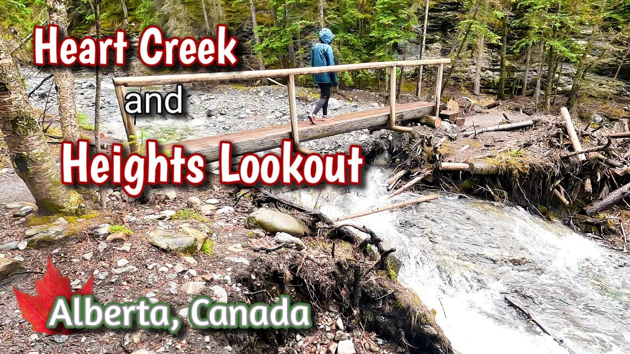 Heart Creek Trail and Heights Lookout Hike in Alberta - YouTube