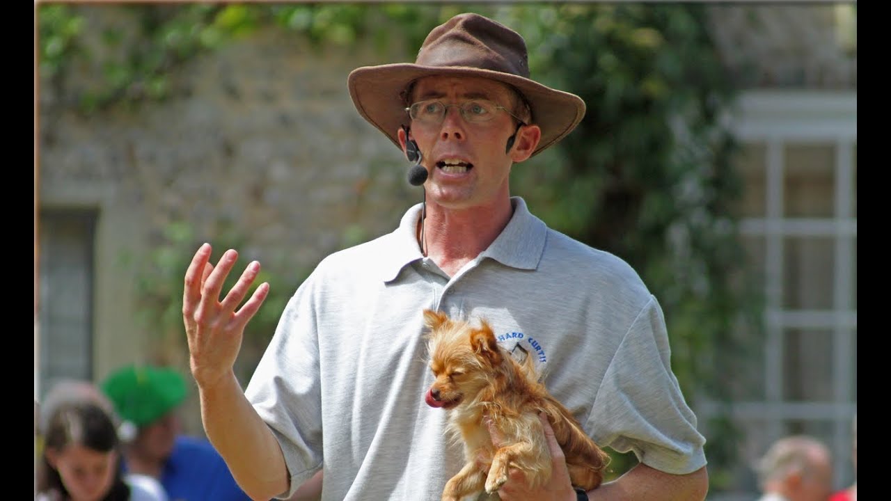 Richard Curtis K9 freestyle dancing dogs Beautiful Betty - YouTube