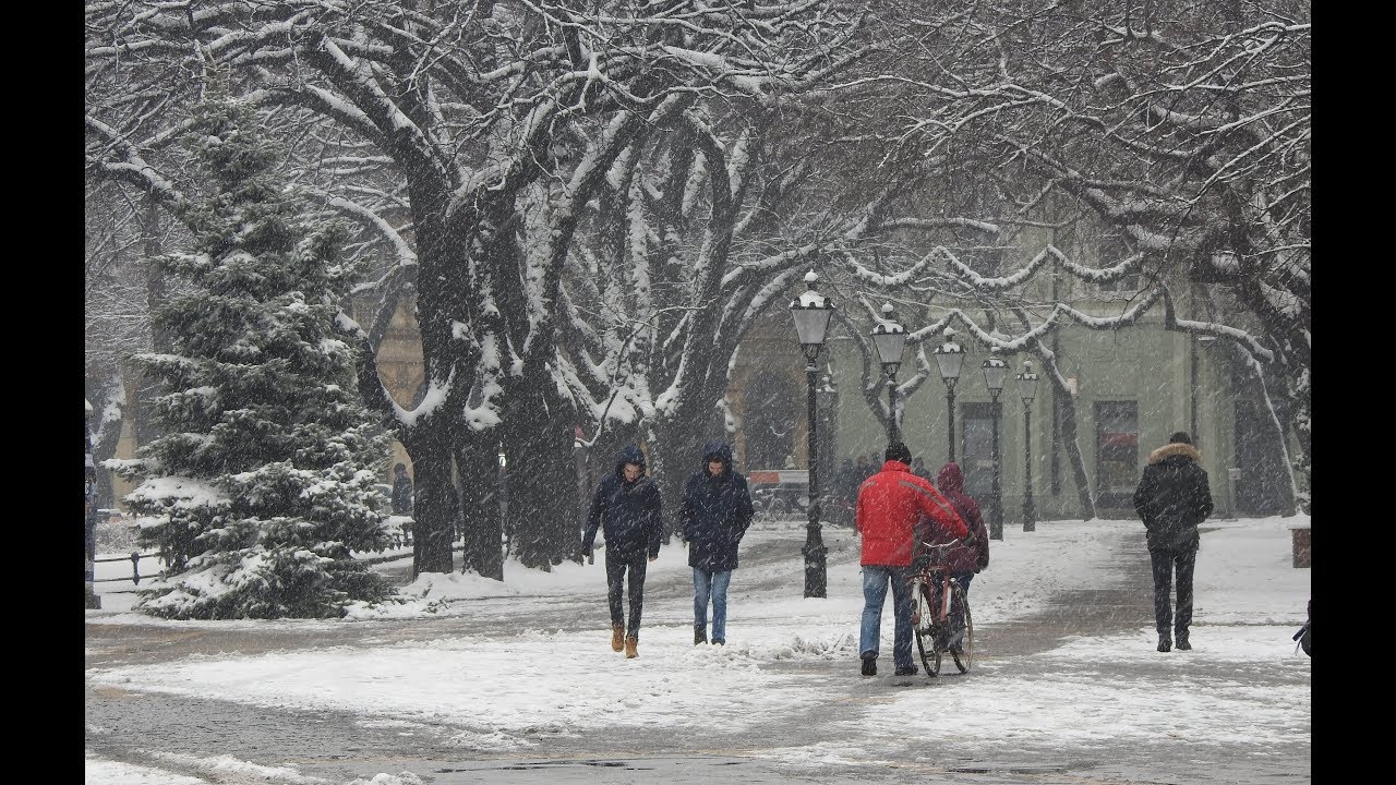 Snow snow snow in Subotica North Vojvodina Serbia 22 Jan 2019 - YouTube