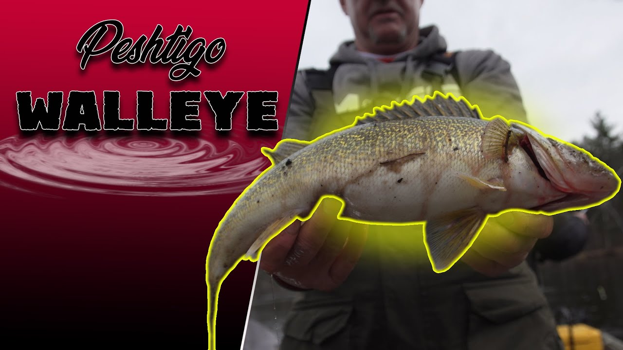 River Fishing Pre Spawn Walleye (Peshtigo River) - YouTube