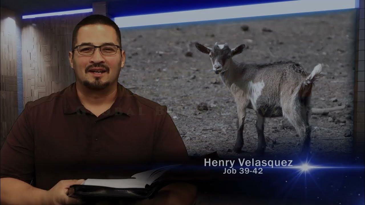 Week 24 Day 1 ~ Job 39 - 42 - YouTube