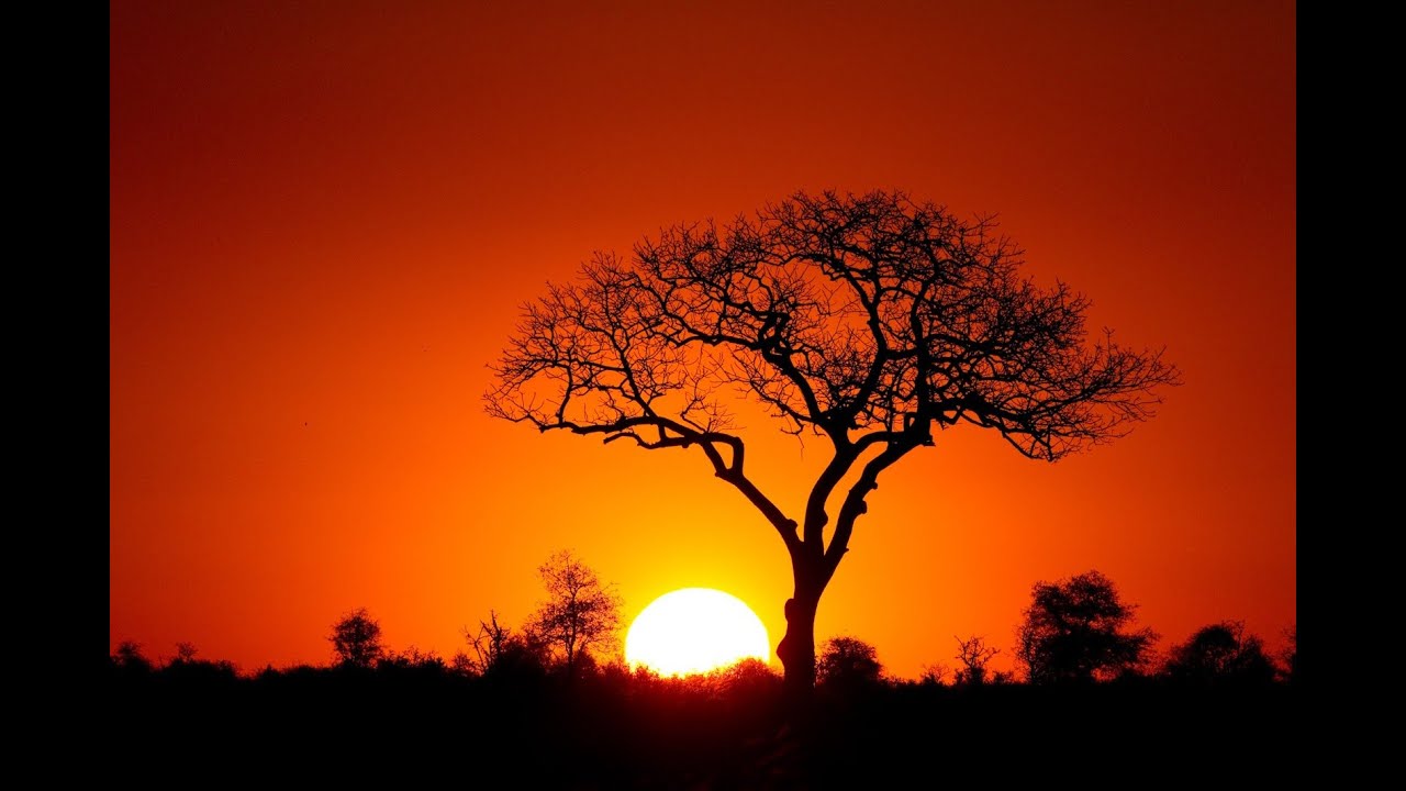 Sunset Short Clip. 4K - YouTube