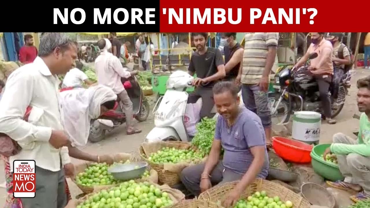 Why Are Lemons So Expensive? | Take A Look | NewsMo - YouTube