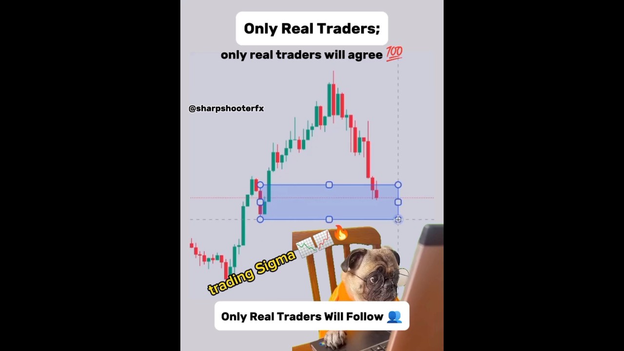 sigma traders 🔥🔥(4k forex shorts) #trading #forexlife - YouTube