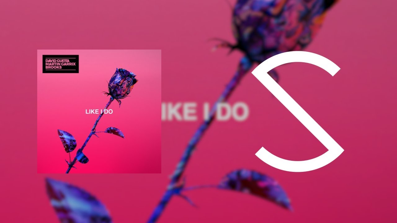 David Guetta & Martin Garrix & Brooks - Like I Do [Lyrics] - YouTube
