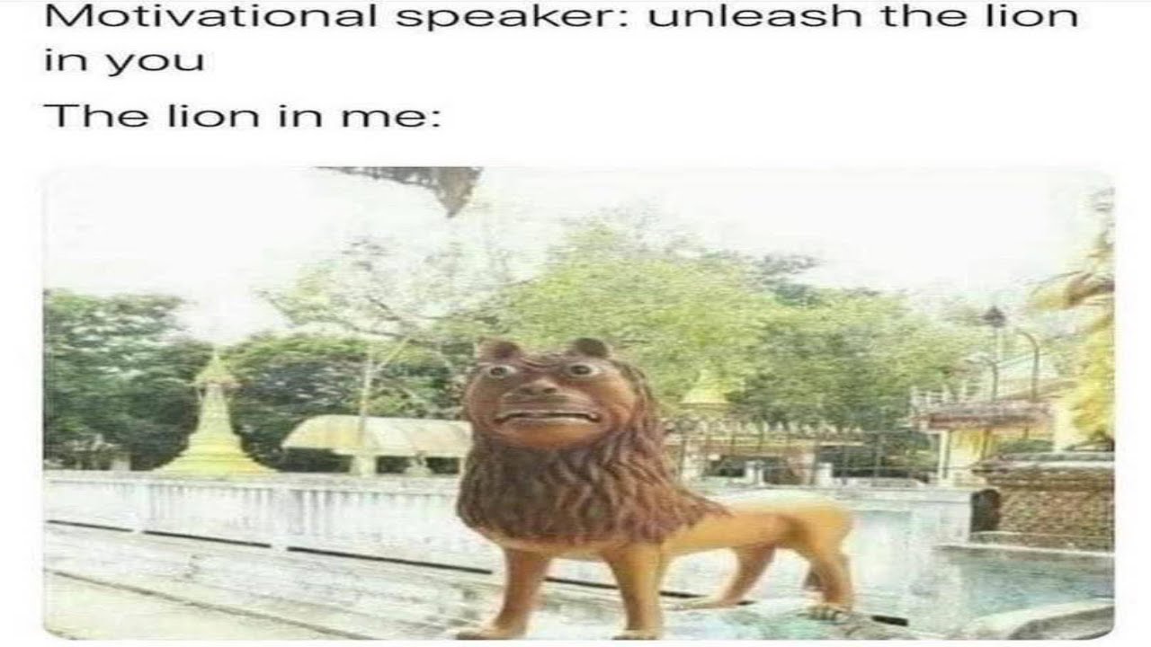 Daily memes but if you laugh you restart 10 - YouTube