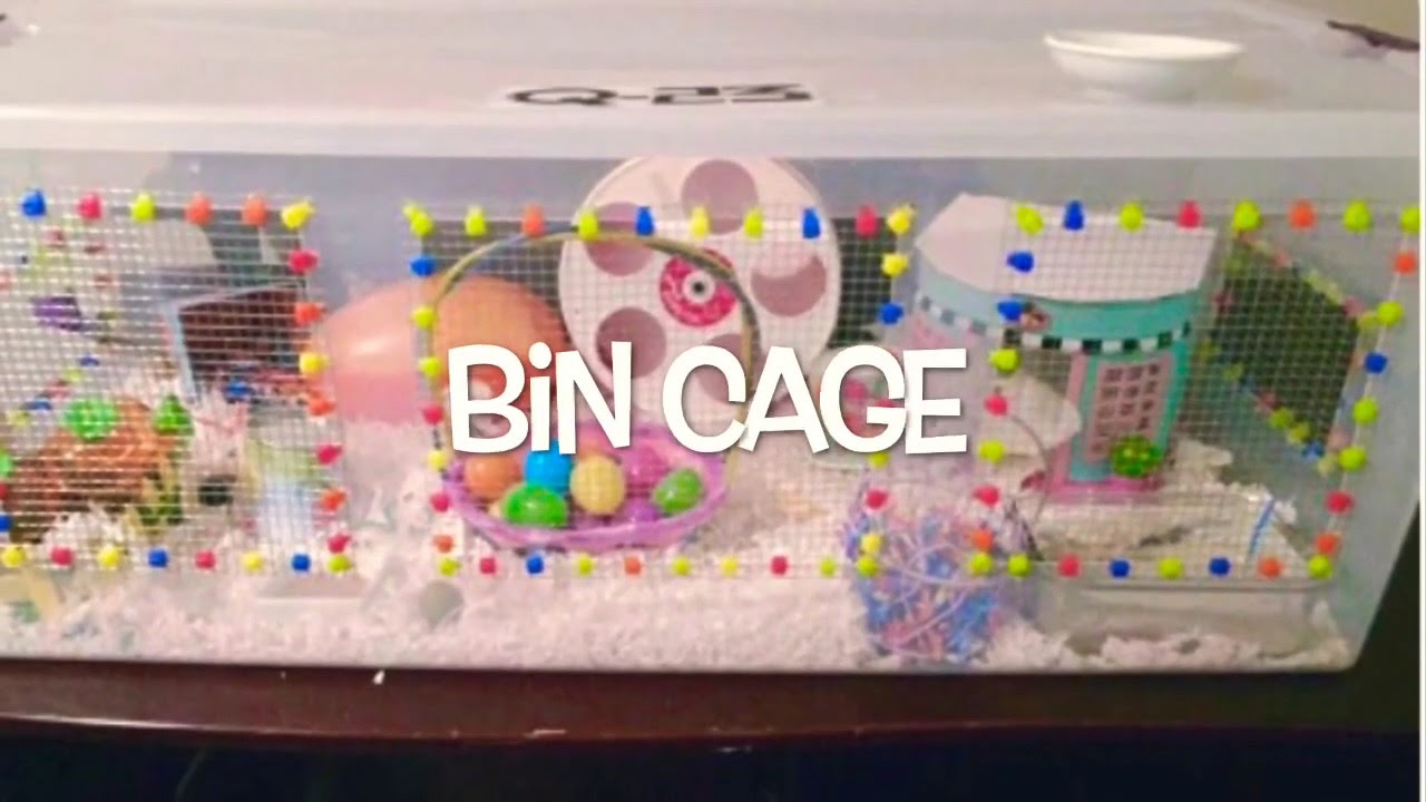 Good&Bad cages - YouTube