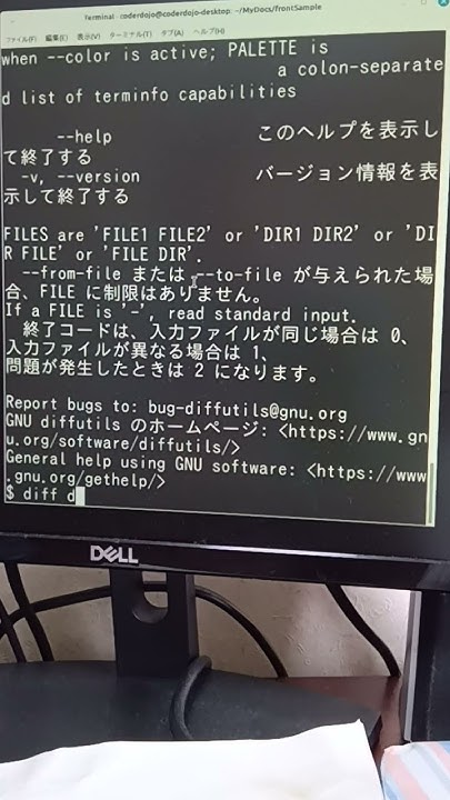 diffコマンドでファイルの比較〜リナックスコマンドを叩く〜 #coderdojo #command #excel #linuxcommandlinetutorial #windows ...