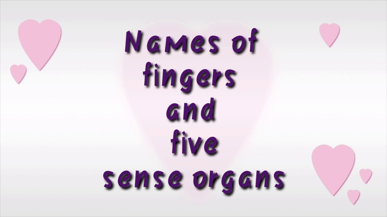 Names of fingers and five sense organs (EVS) - YouTube