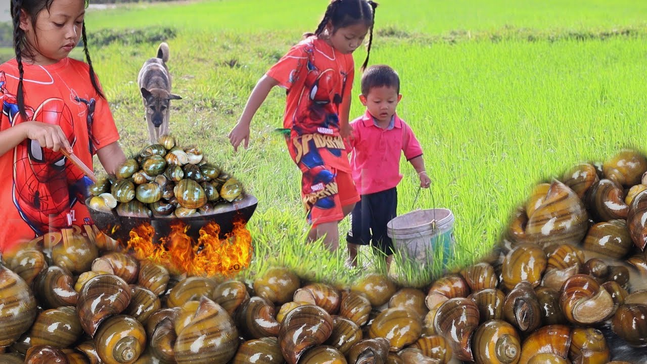 Pick snails and cook snails in my rural style / snail countryside ...