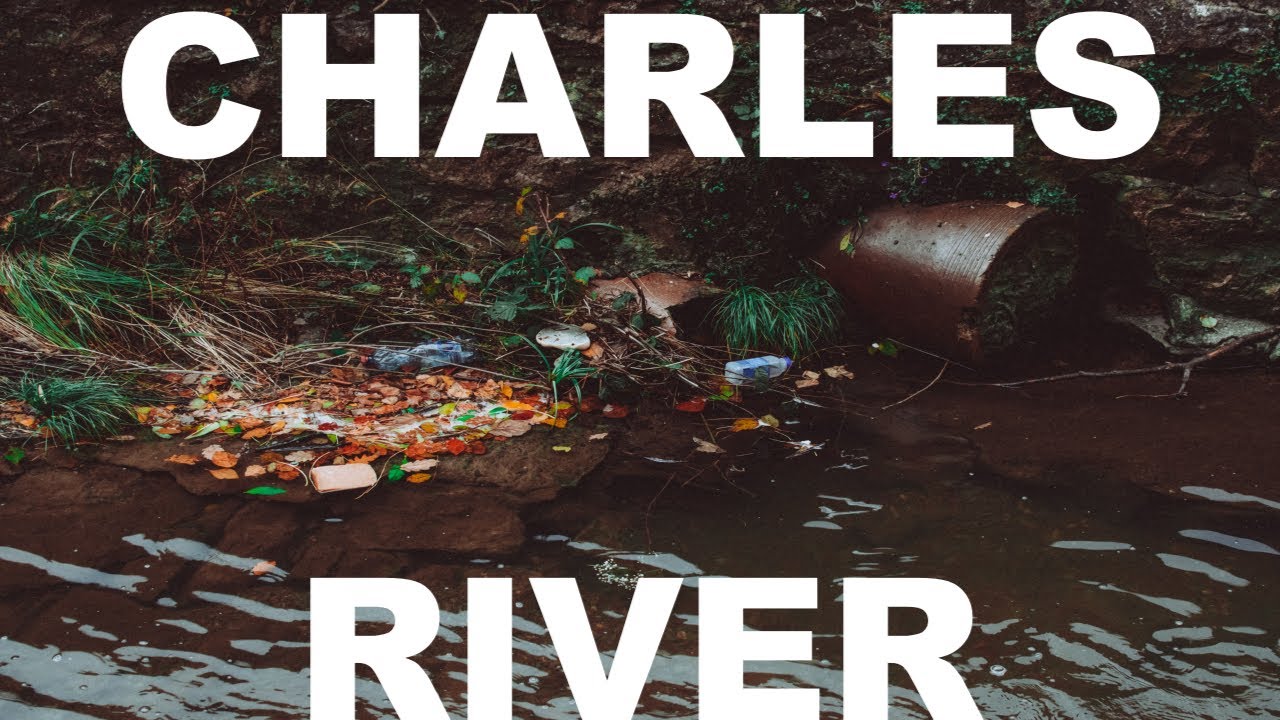 Charles River 2023 Clean Up Project | Pollution Management | Protection ...