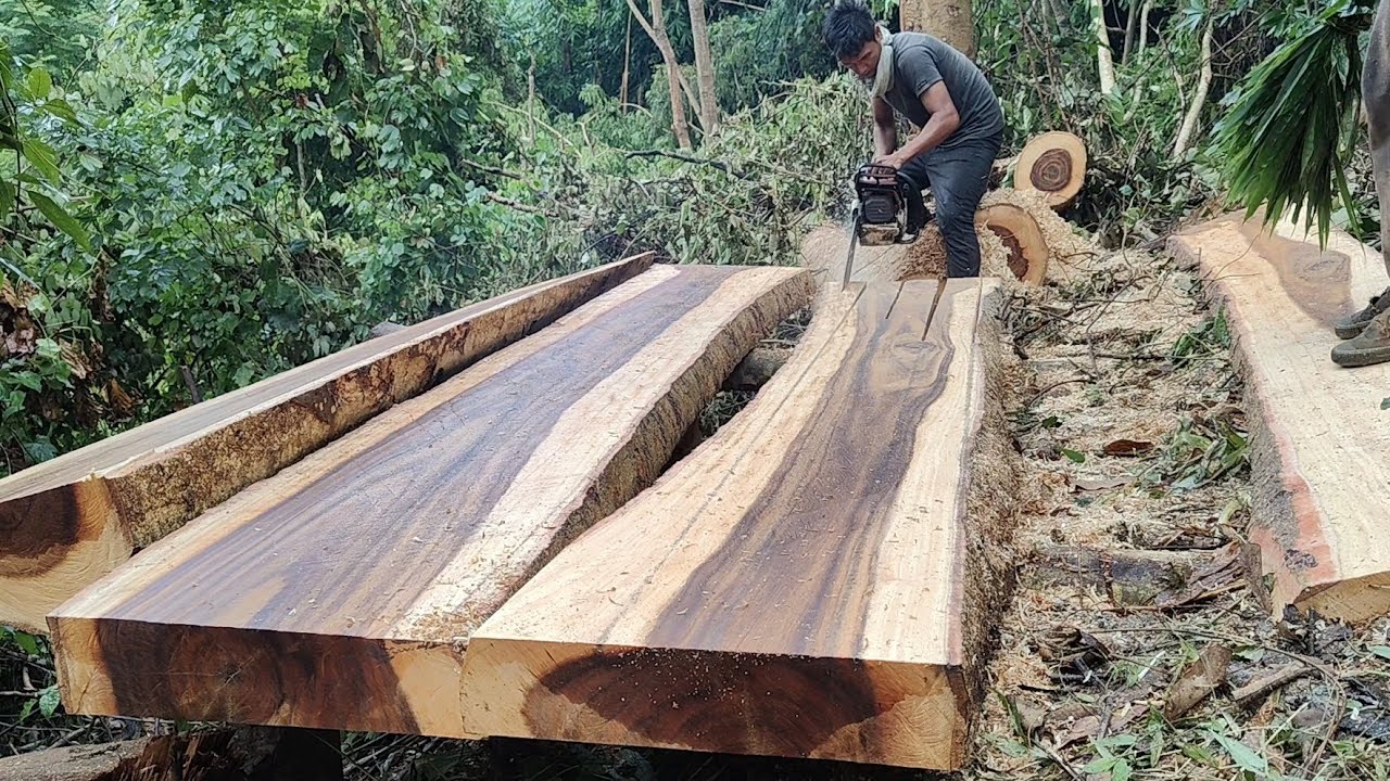 Skills ‼️ Skills of sawing beautiful wooden cutting to Blocks With ...