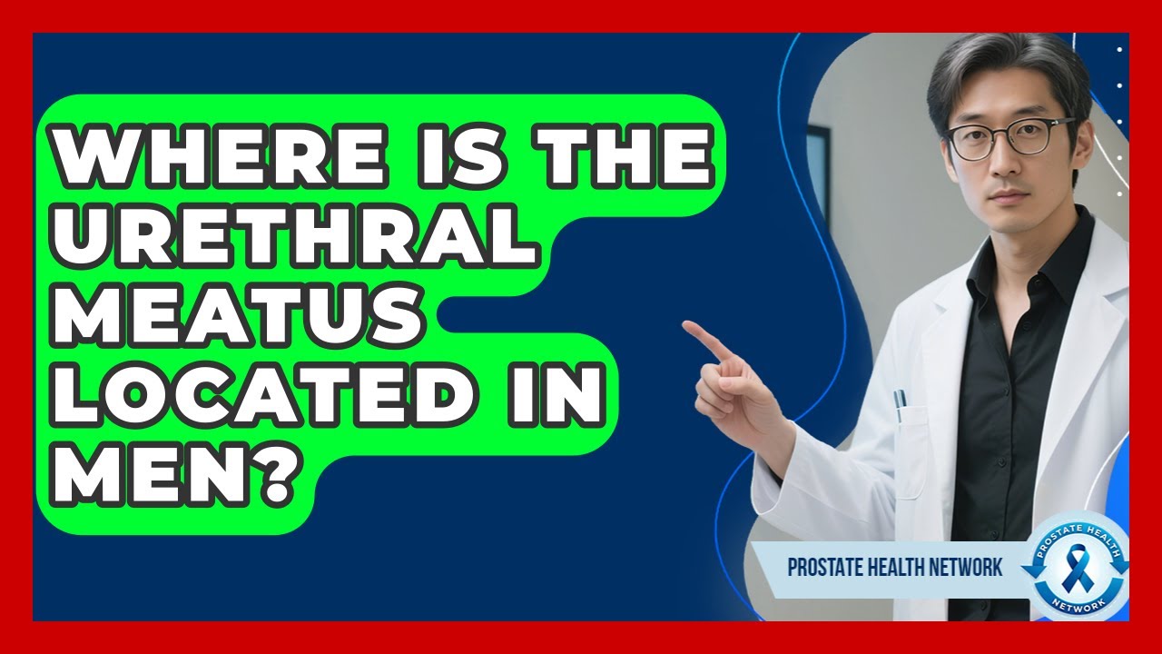 Where Is The Urethral Meatus Located In Men? - Prostate Health Network ...