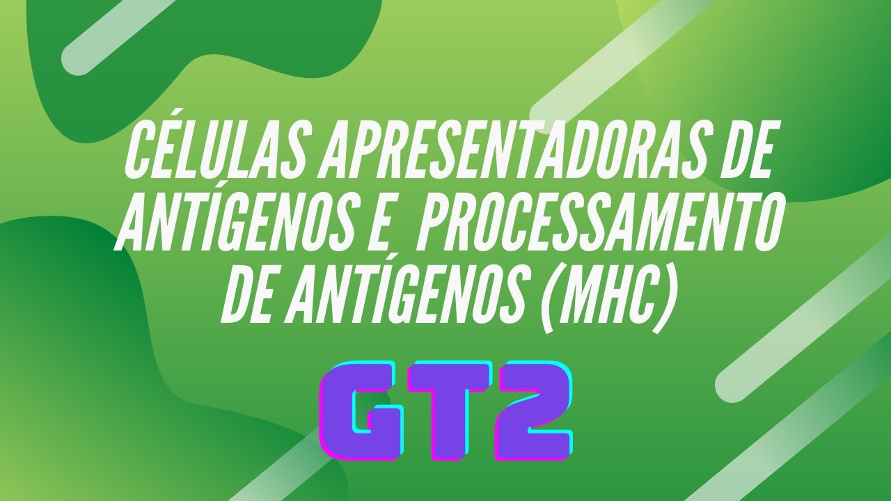 GT2: Células apresentadoras de antígeno (APCs) e Processamento de ...