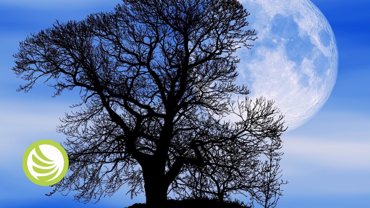 Calming Day • Peaceful Piano & Relaxing Music For Deep Sleep and ...