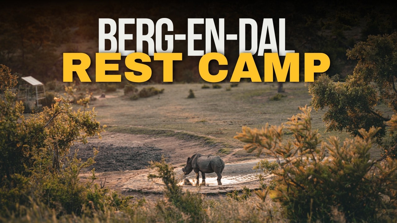 Berg-en-Dal Rest Camp Kruger National Park | Full Camp Tour & Review - YouTube