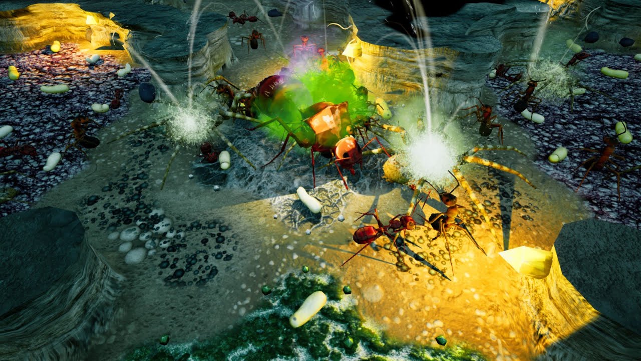 Empires of the Undergrowth - Formicarium Challenge 2 - Insane - YouTube