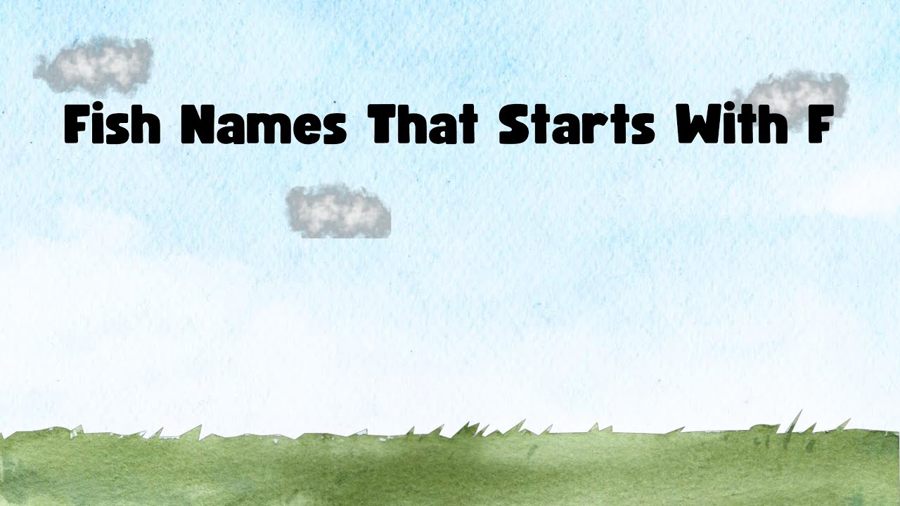 Fish Names That Starts With F - YouTube