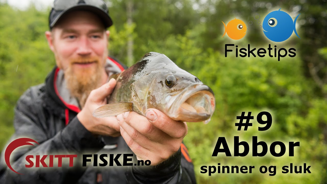 Fisketips #9 med Skitt Fiske - Abborfiske med spinner og sluk - YouTube