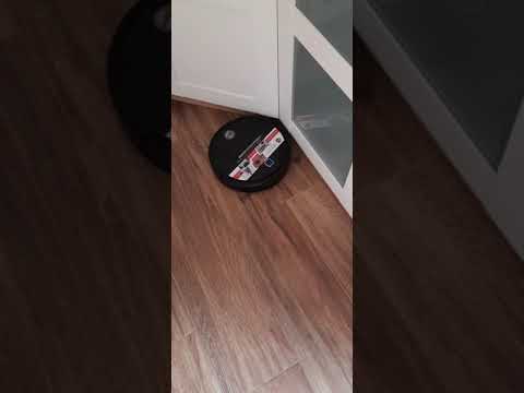 Hoover H-GO 300 HYDRO PRO - YouTube