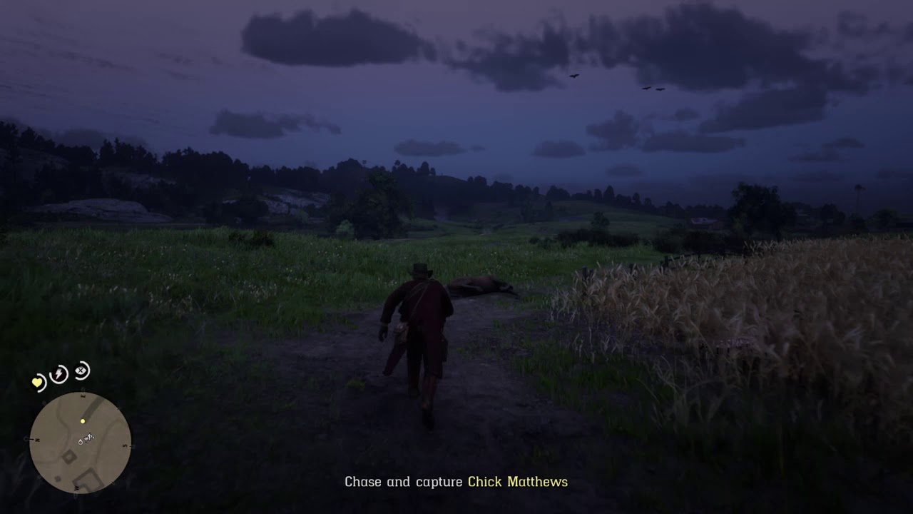 RDR2 Assisted capture by the horse - YouTube
