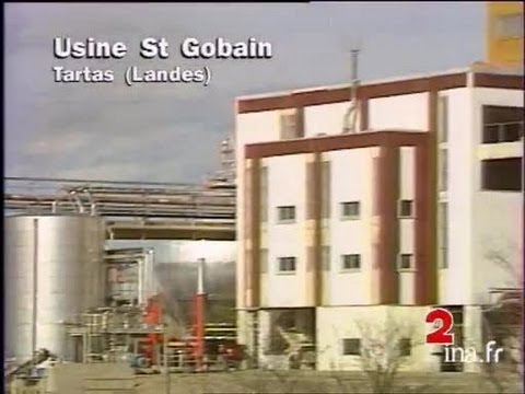 Mobilisation des employés de la Cellulose du Pin de Tartas - YouTube