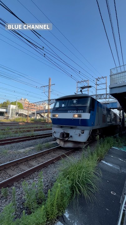 (貨物列車) 2024/09/18 2059レ EF210-151 + コキ20B カンガルーライナーSS60 (陸前山王〜吹田タ) #Shorts - YouTube