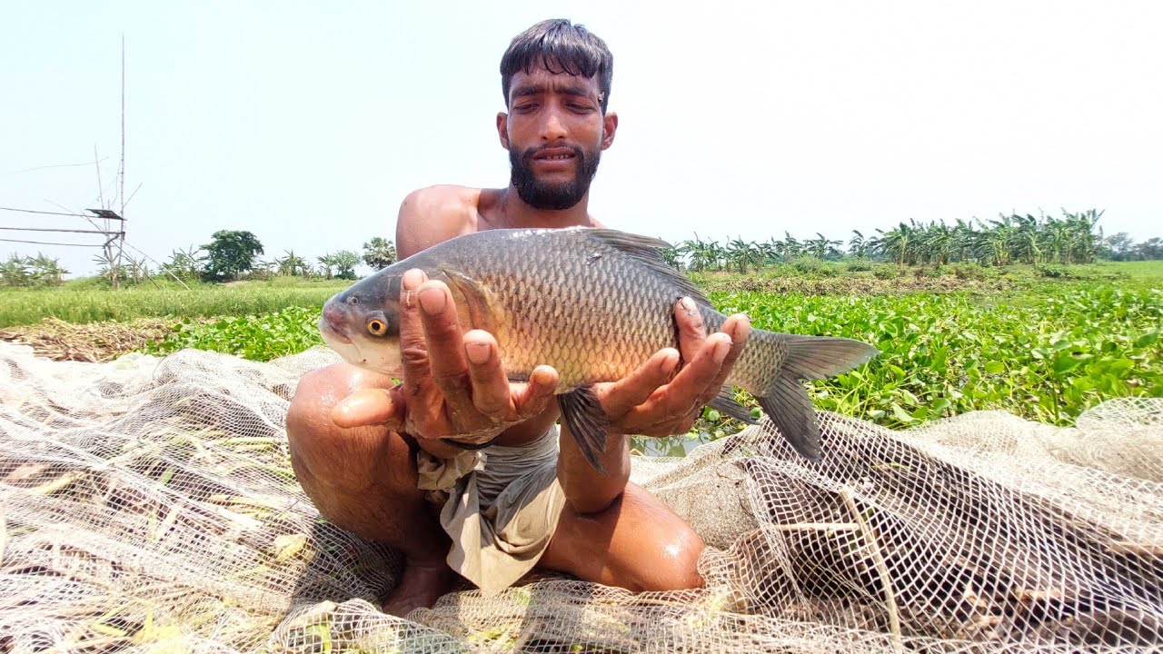 Big katol Fish | Best Fishing Video | Smart Traditional Boys Big Fish ...